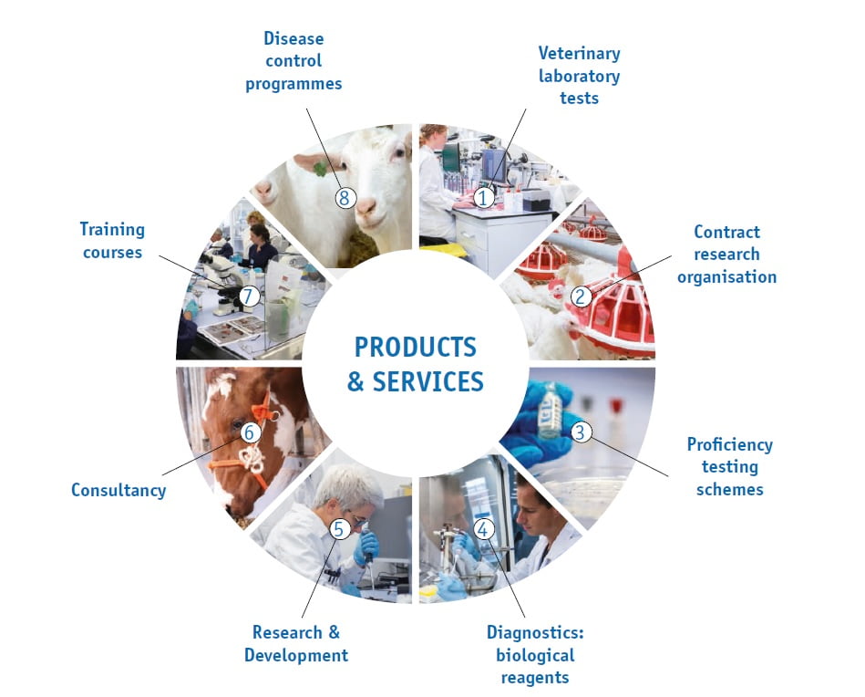 Royal GD - Animal Health Media Journal